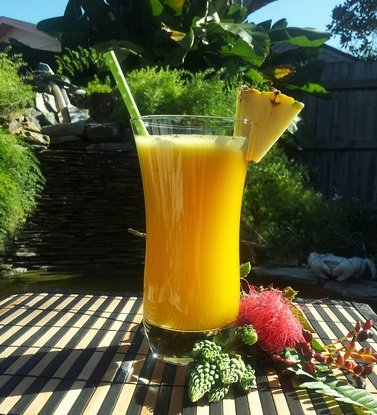 Mango Tango | JuiceRecipes.com